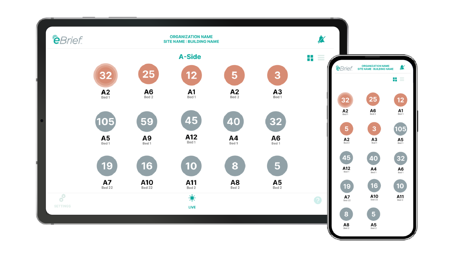eBrief™ System | etectRx
